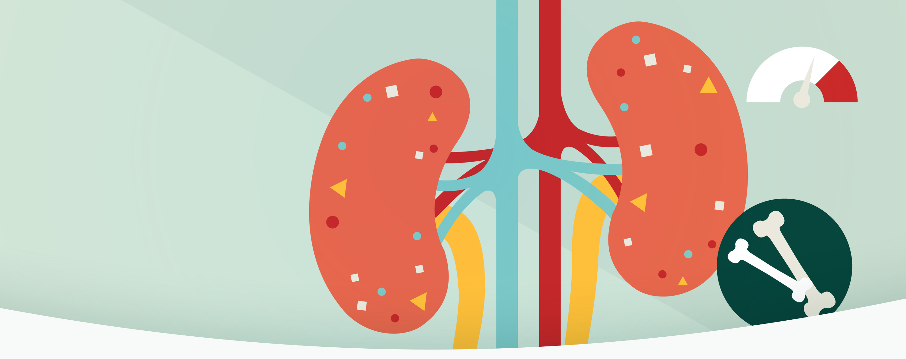 CKD Medications Guide - My Kidneys My Health